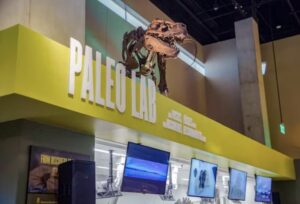 What to Do in Uptown - Dallas | Saatva