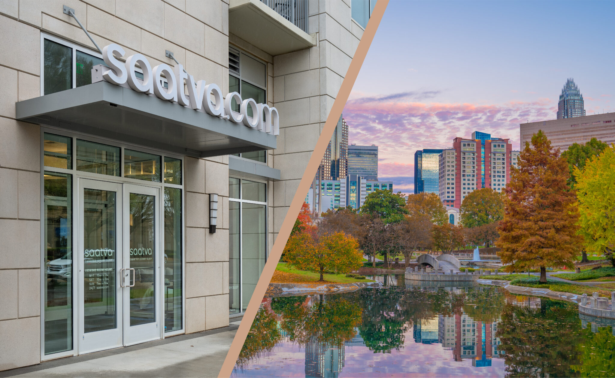 Viewing Rooms » Sleep Enlightened