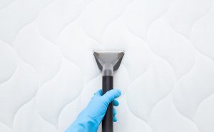 Can Mold Grow in a Mattress? Tips for Getting Rid of It | Saatva