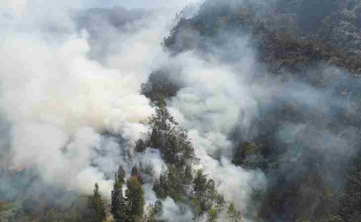 The Sleep and Heath Effects of Wildfire Smoke | Saatva