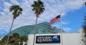 What to Do in Tampa - Florida | Saatva